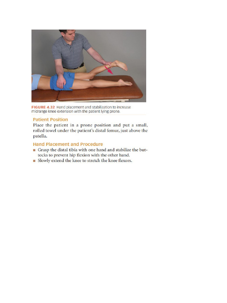 Knee Flexor | PDF