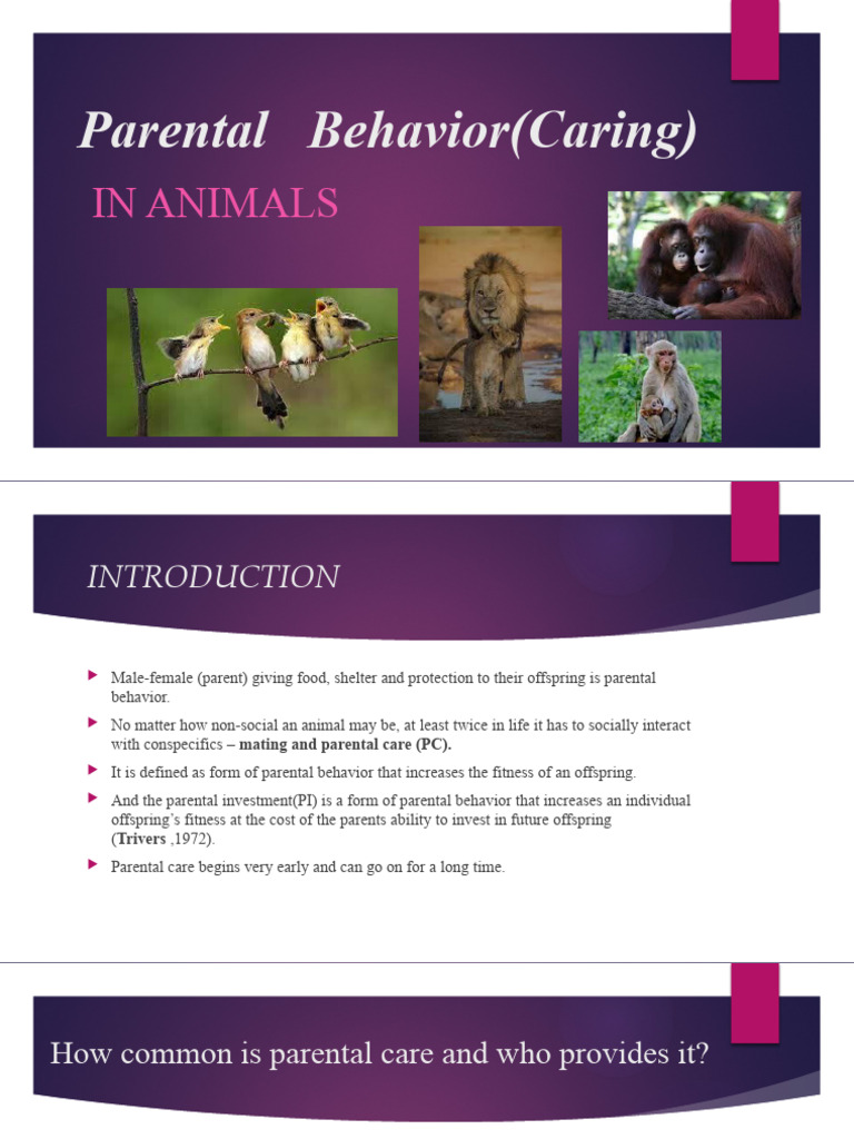 Parental Behavior (Caring) | Download Free PDF | Nest | Behavioural ...