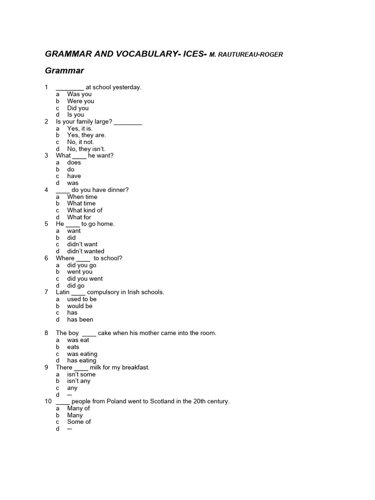 Grammar and Vocabulary 2 | PDF