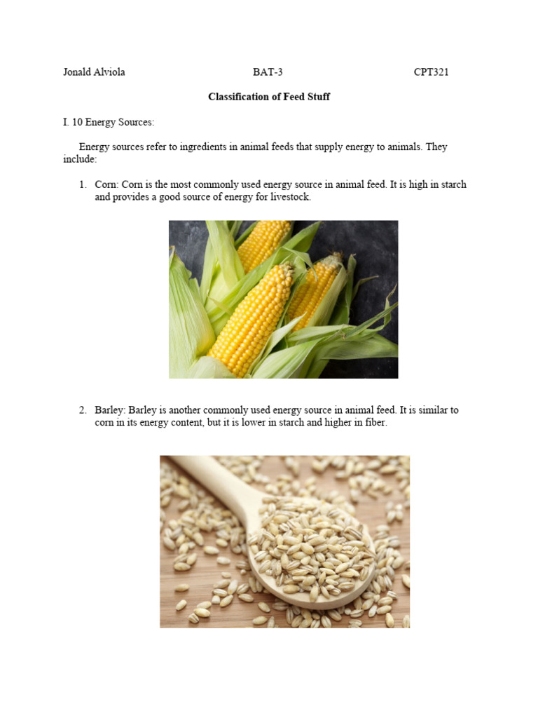 Classification of Feed Stuff | PDF | Cereals | Digestion