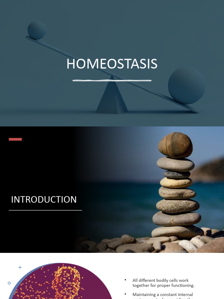 Homeostasisslide 230708121007 E0a346b5 | PDF | Homeostasis | Human Body