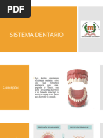 María Pliego Ballesteros | PDF | Pedagogía | Estética
