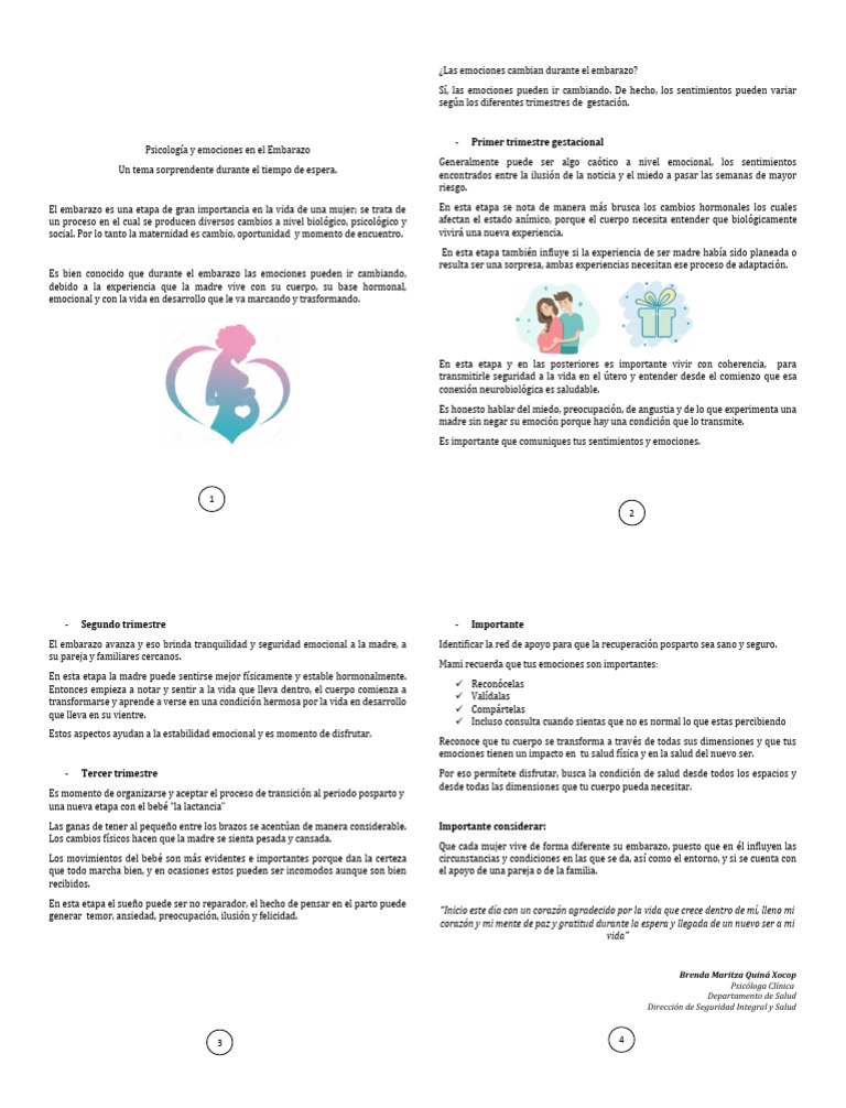 Psicología Y Emociones En El Embarazo Folleto Informativo Pdf Las