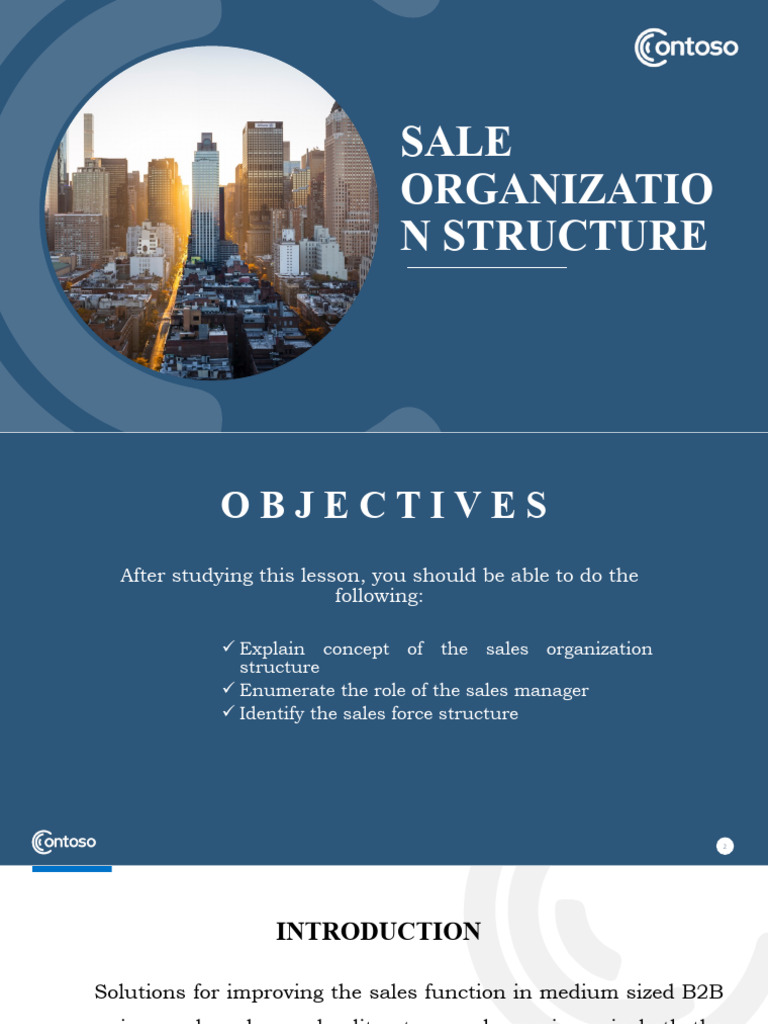Sale Organization Structure | PDF | Sales | Retail