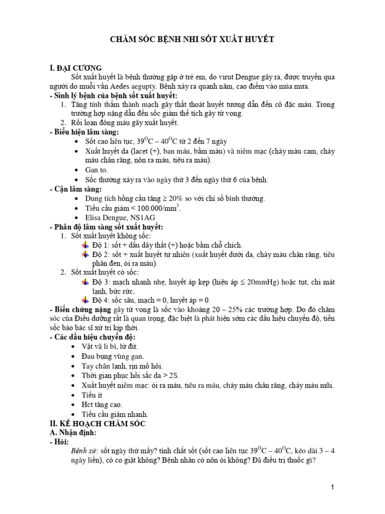 Chăm sóc bệnh SXH DENGUE | PDF