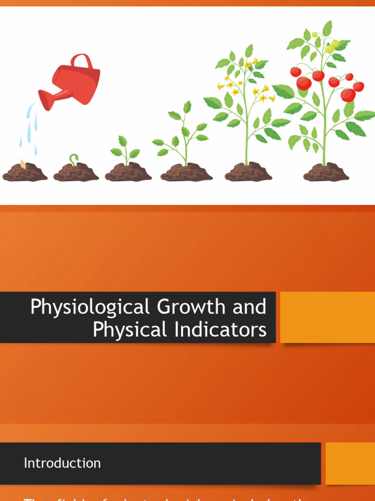 Physiological and Physical Growth | PDF