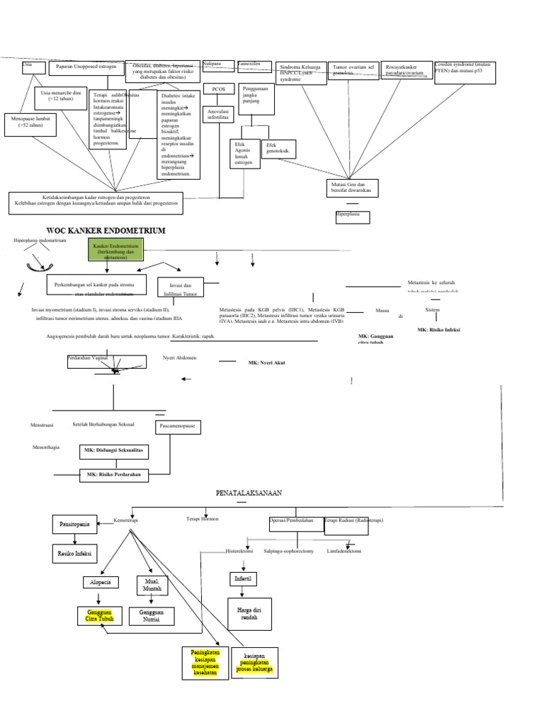 Ilide - Info Woc Kanker Endometrium Fix PR | PDF