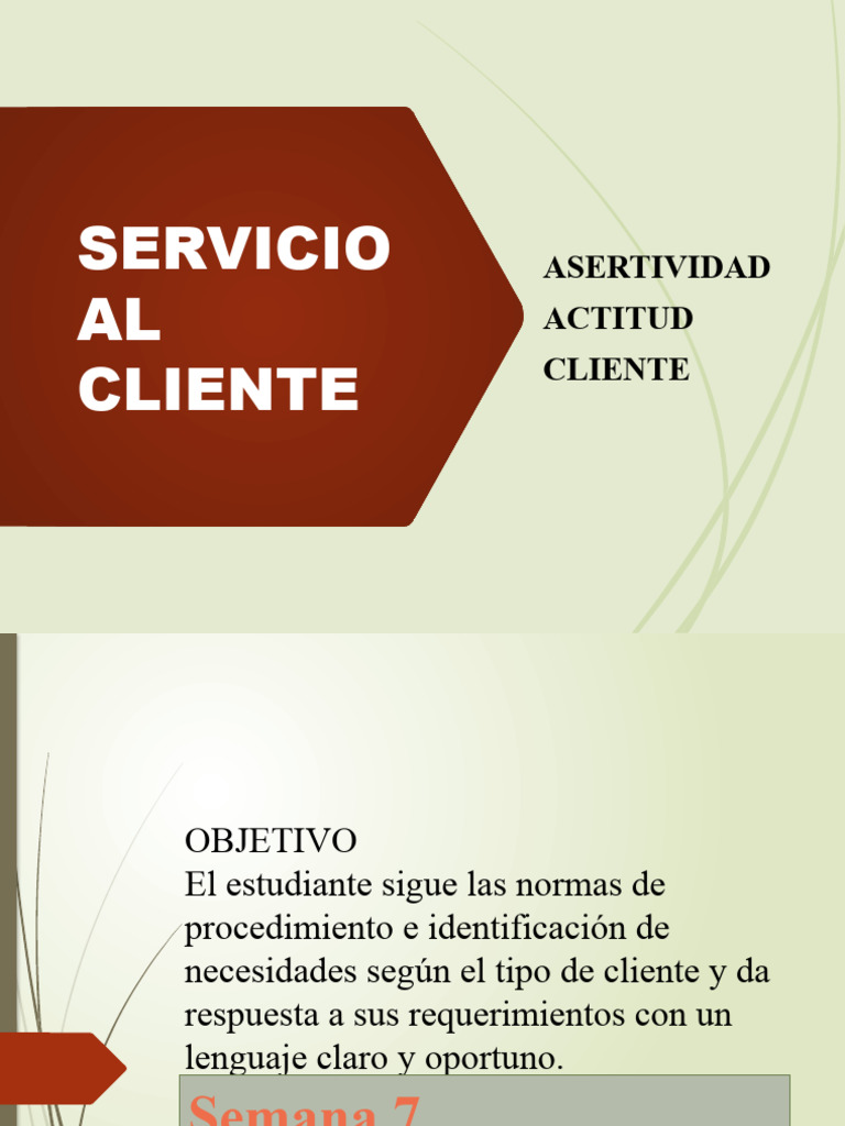 Servicio Al Cliente | PDF