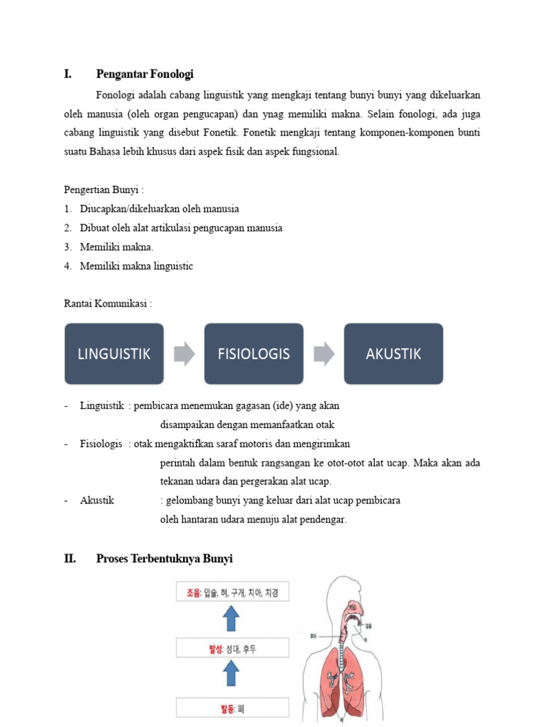 Pengantar Fonologi | PDF