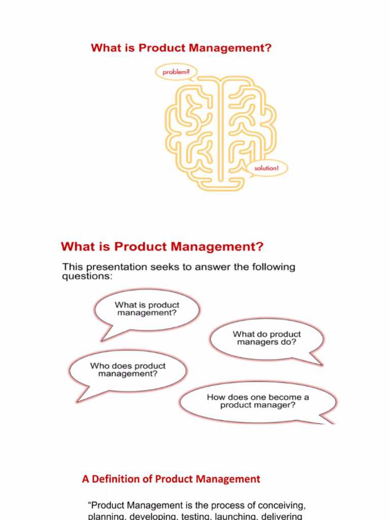 Product Management Lesson 1 | PDF