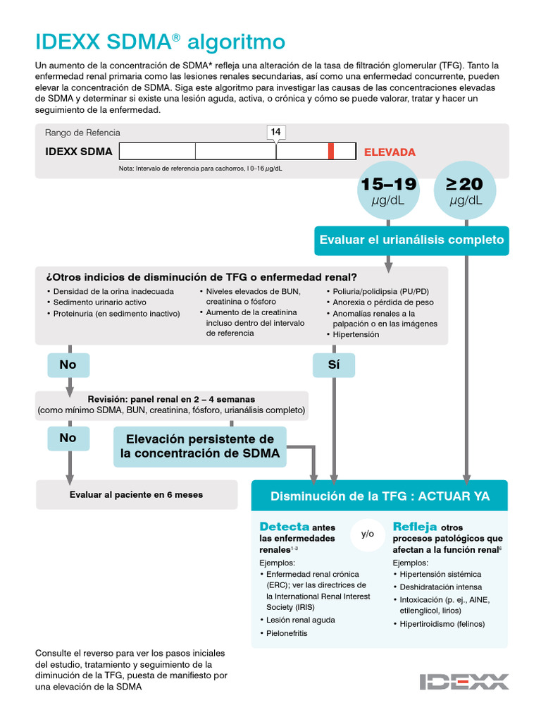Sdma Algorithm Es Es | PDF | Causas de la muerte | Órgano (anatomía)