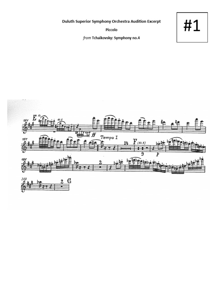 Piccolo Audition Excerpts Xhcyictic | PDF