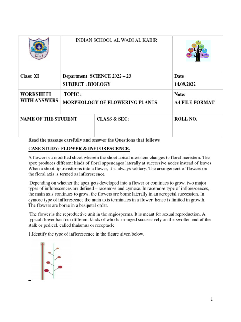 12061-CLASS 11 - BIOLOGY - MORPHOLOGY OF FLOWERING PLANTS - WS WITH ANS. - AGNES | PDF | Flowers ...