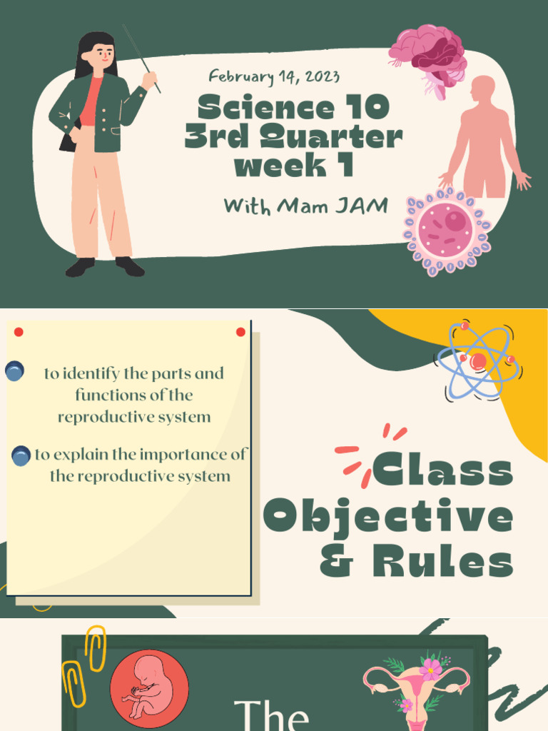 Reproductive System Grade 10 | PDF