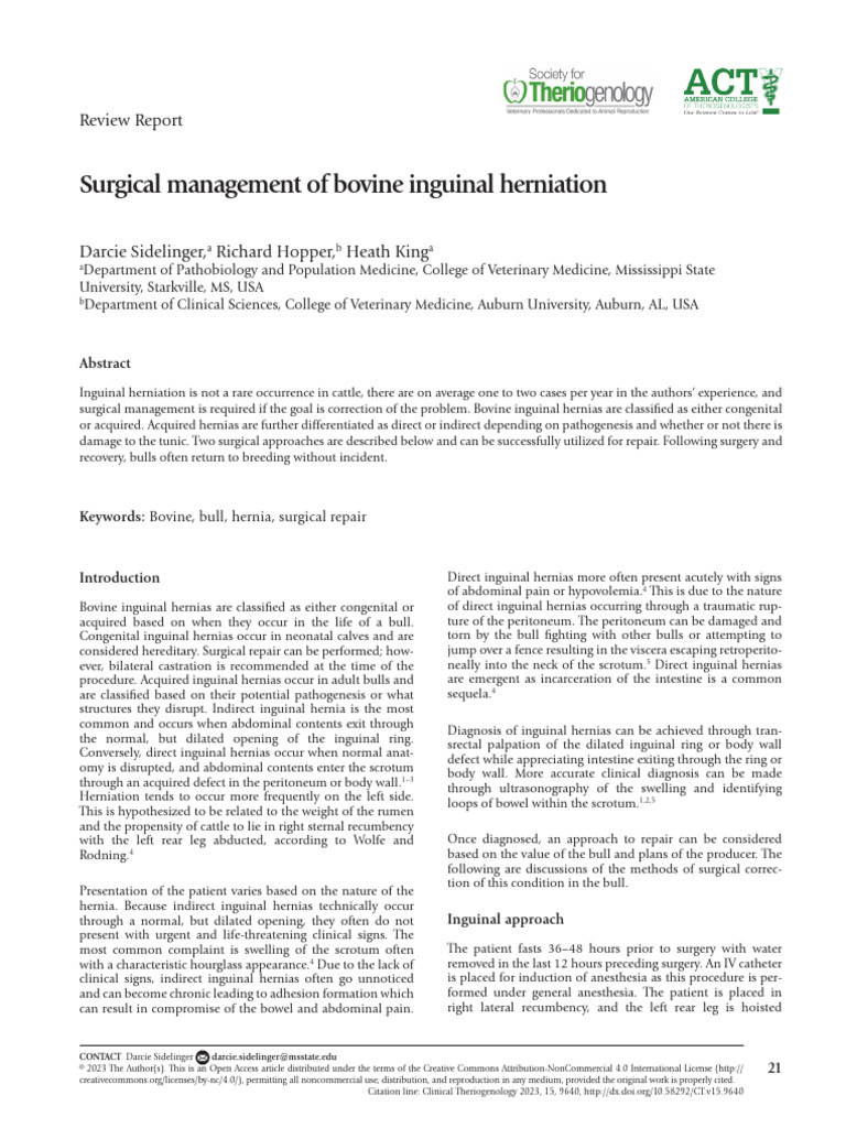 Surgical Management of Bovine Inguinal Herniation | PDF | Diseases And ...