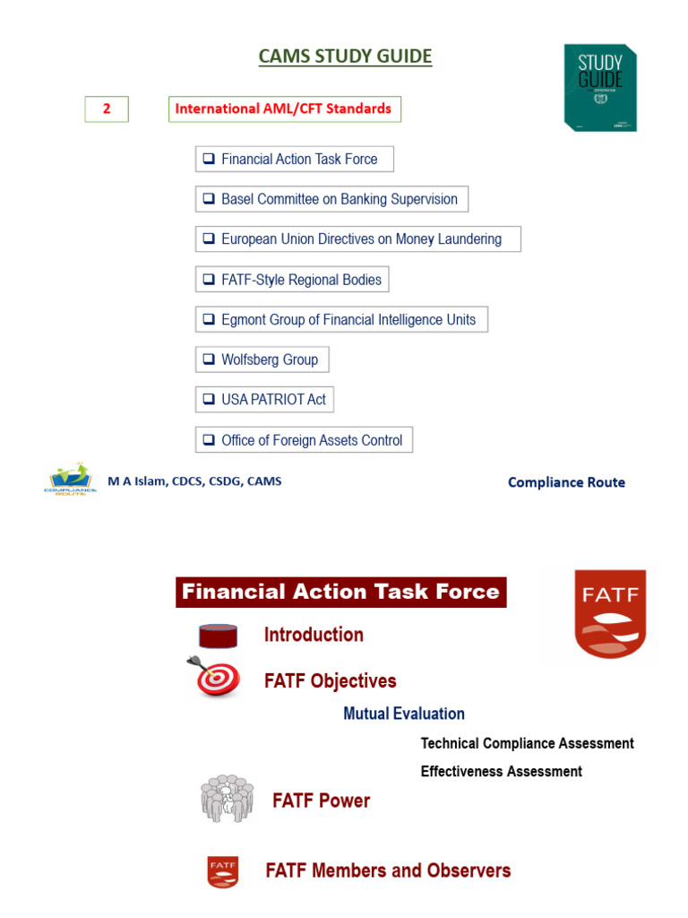 FATF Introduction | Download Free PDF | Money Laundering | Financial ...