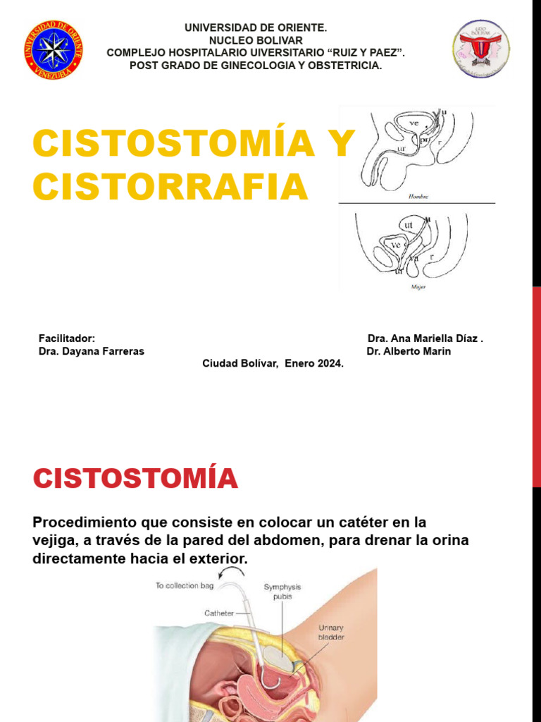 Cistostomía y Cistorrafia2 | PDF | Especialidades Medicas | Anatomía humana