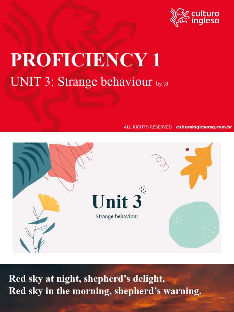 PROFICIENCY 1 UNIT 3 (Strange Behaviour) | PDF