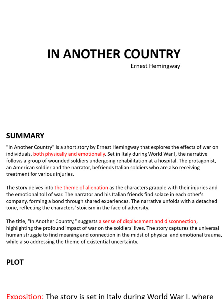 In Another Country REVIEW UPDATED | PDF | Social Alienation | Narration