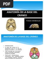 6-Cara Endocraneal de La Base Del Cráneo - Las Fosas Craneales y Los ...