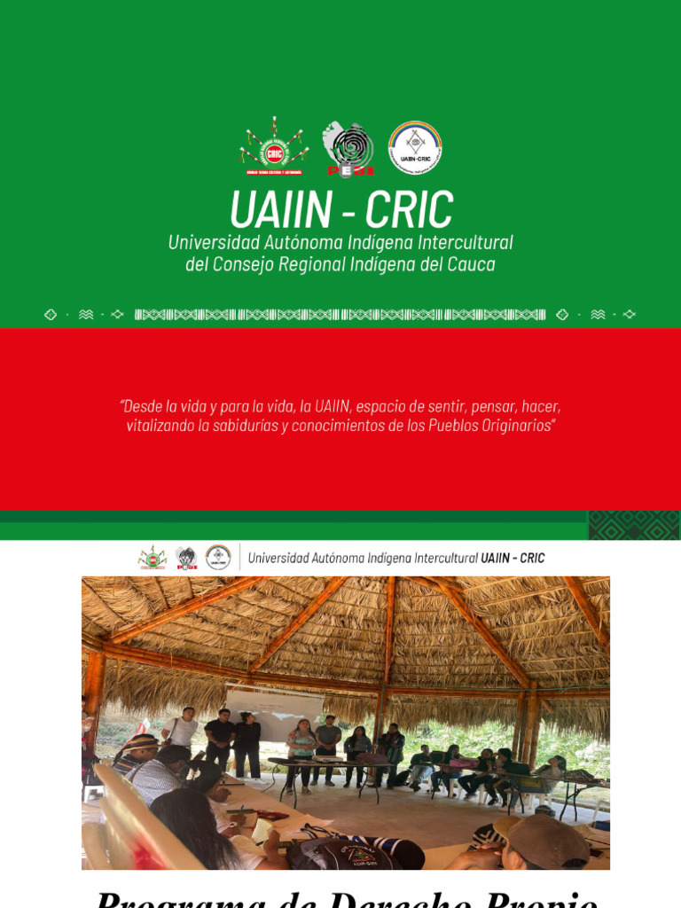 Formación en Derecho Propio Intercultural | PDF