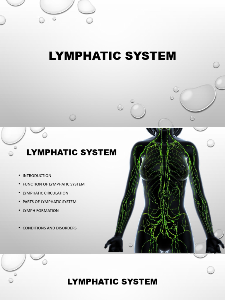 Lymphatic System | PDF