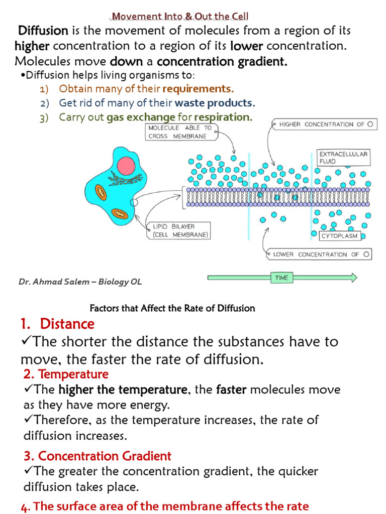 Ch3 OL Revision | Download Free PDF | Osmosis | Cell Membrane