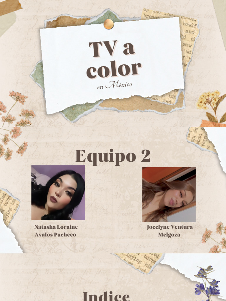 TV A Color en Mexico | PDF | Televisión | México