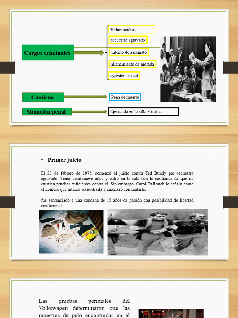 Juicio de Ted | PDF | Crímenes | Crimen y violencia