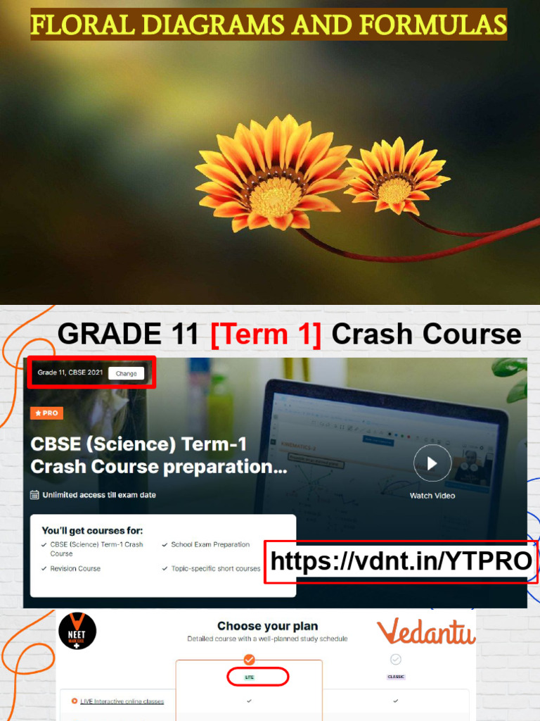 Floral Formulas and Diagrams Vedantu | PDF