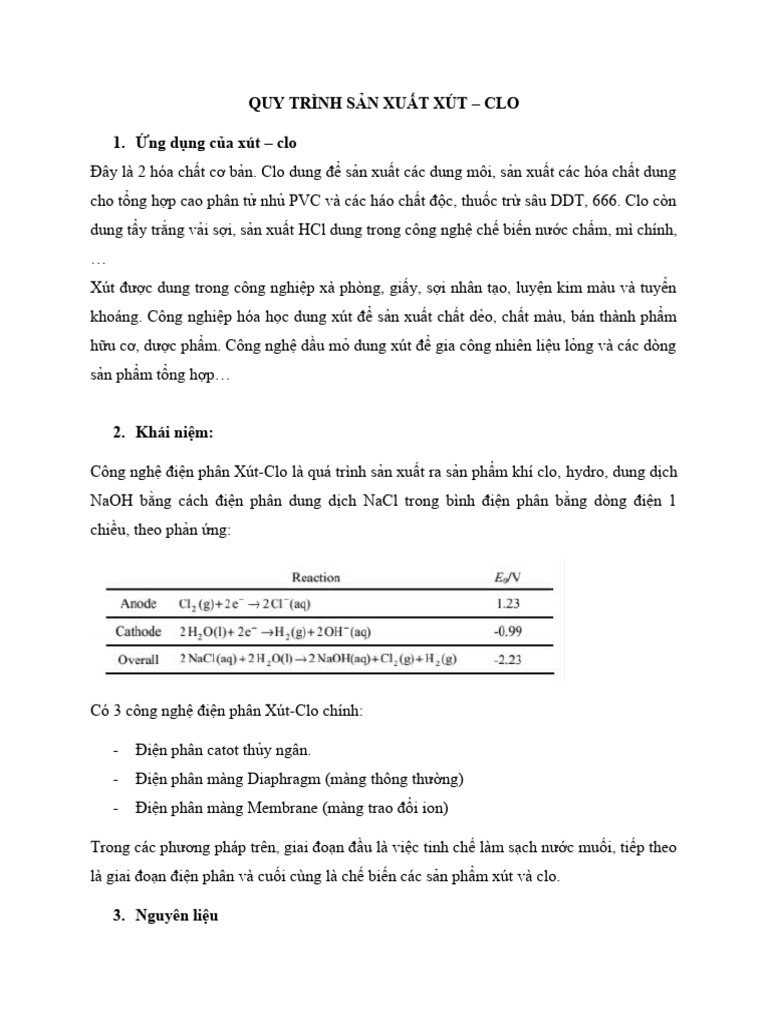 QUY TRÌNH SẢN XUẤT XÚT - CLO | PDF