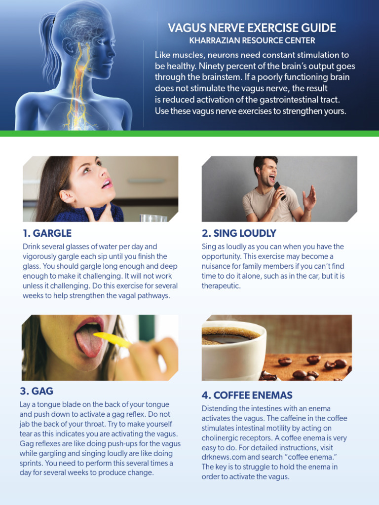 Vagus-Nerve_Infographic-dl | PDF