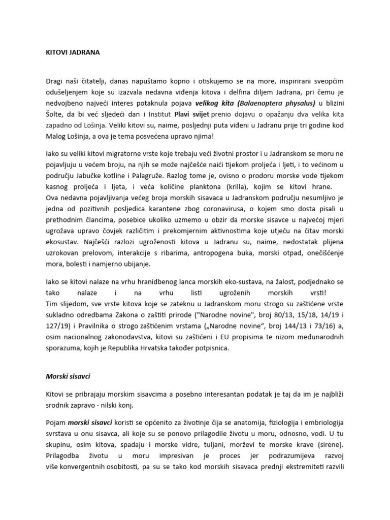 Jadranski Kitovi | PDF