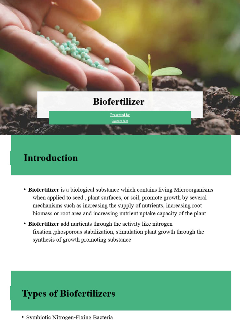 Biofertilizer: Presented by | PDF | Fertilizer | Cyanobacteria