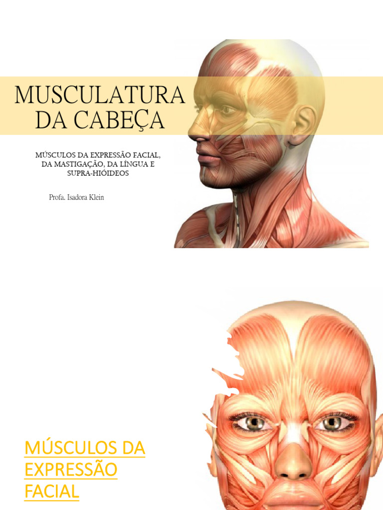 Músculos da Cabeça e Pescoço | PDF | Rosto | Anatomia
