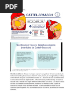 Incisión Rocky Davis | PDF | Medicina CLINICA | Anatomía