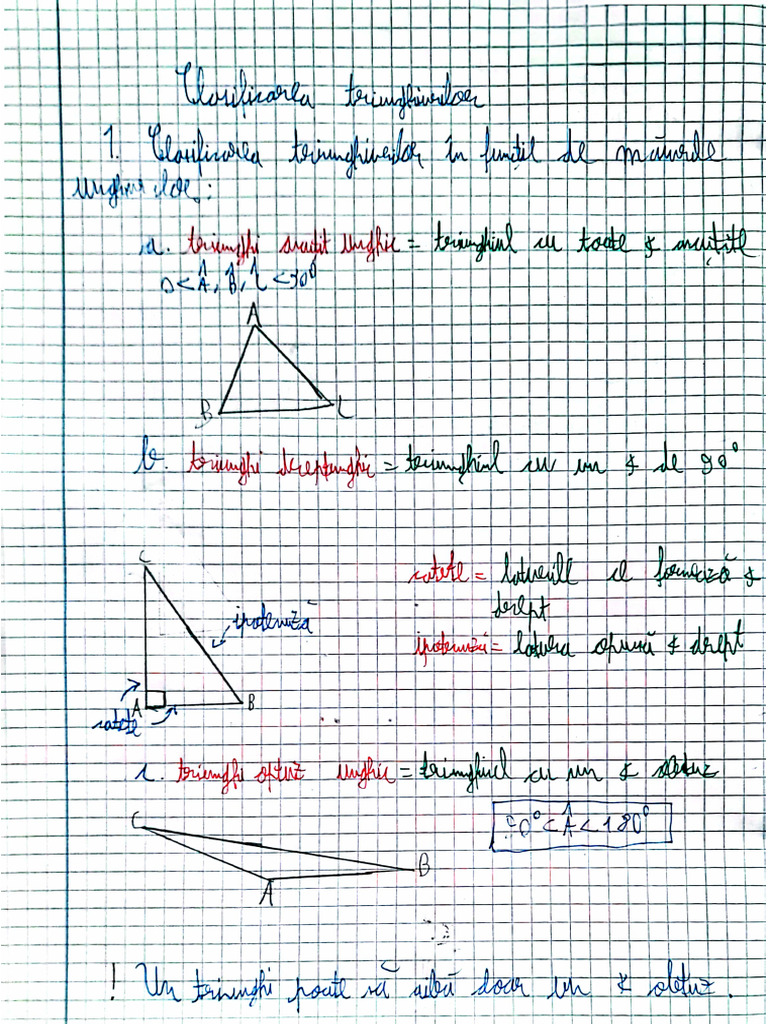 Teorie Triunghi | PDF