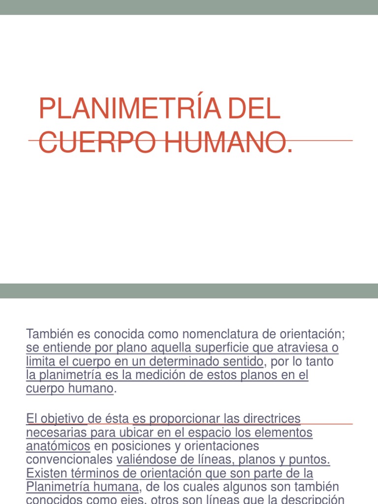 Planimetría Para Estudiantes De Salud Pdf Cuerpo Humano Espacio
