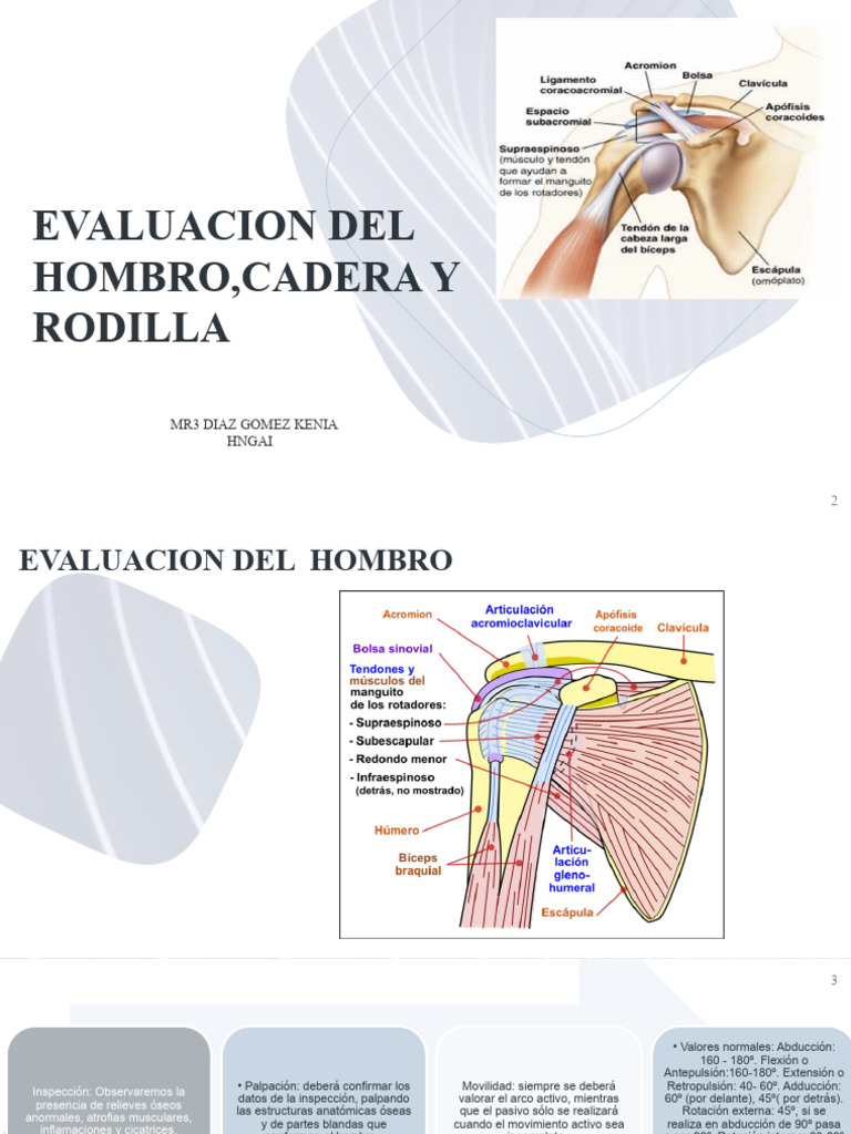 Evaluacion Del Hombro | Descargar gratis PDF | Rodilla | Hombro