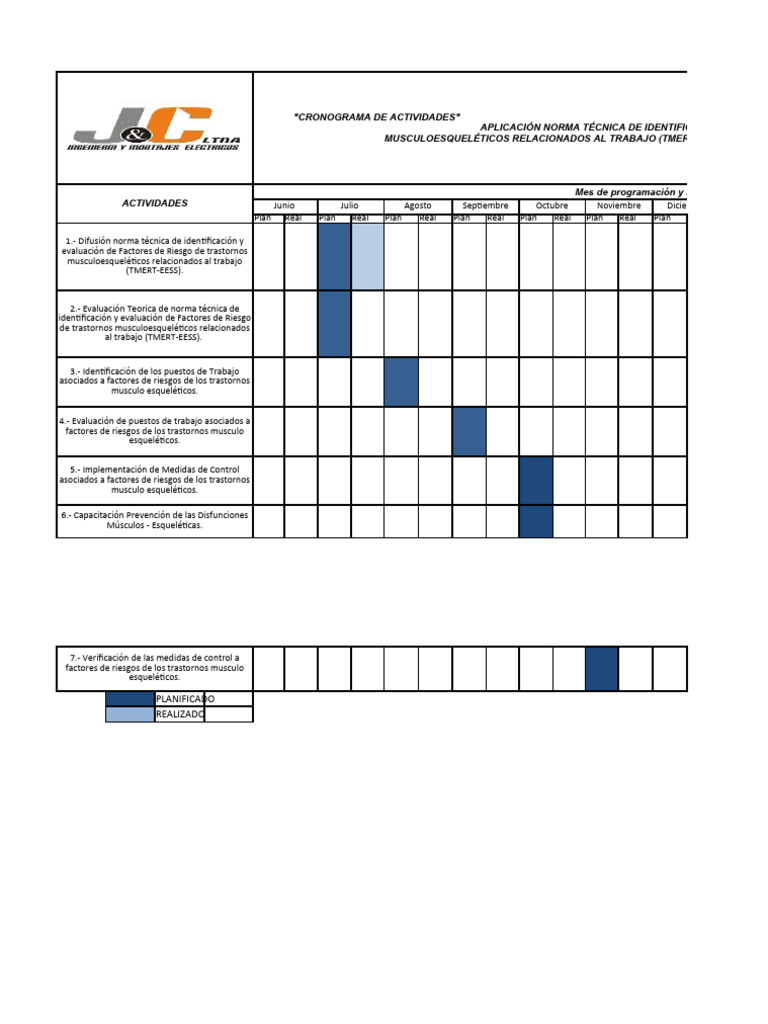 Cronogramas de Implementación Protocolos Minsal | PDF