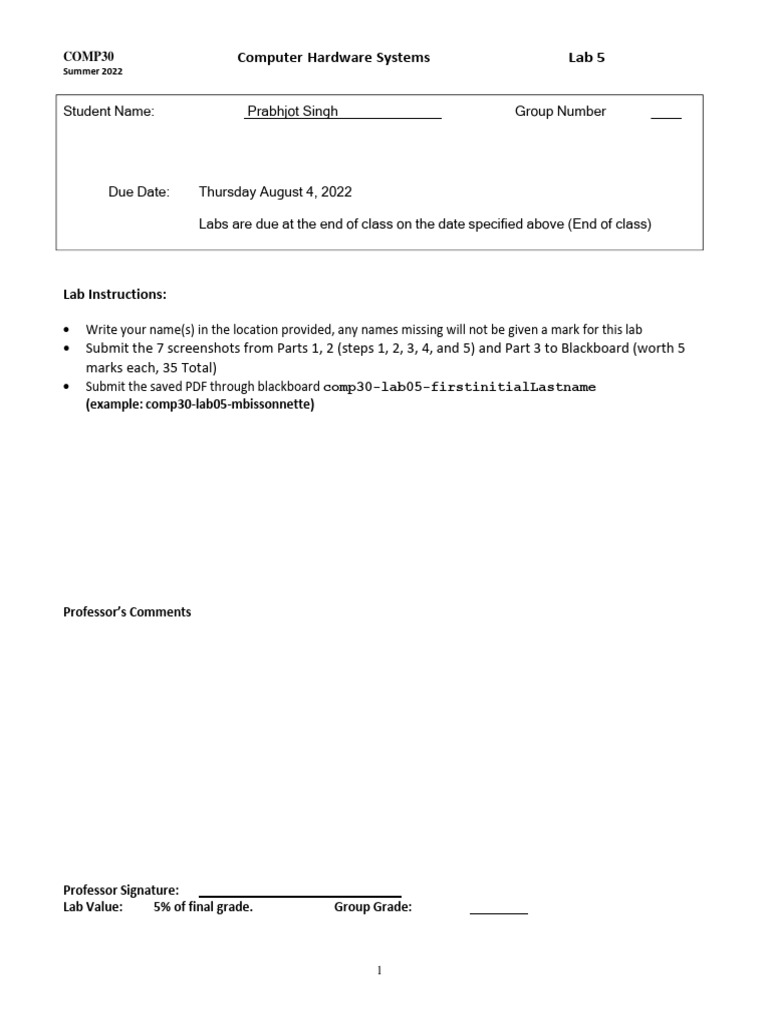 Comp30 Lab05 Psingh | PDF