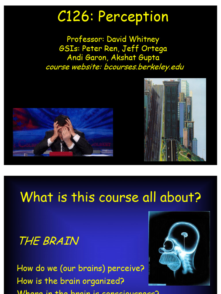 C126 Lecture 01A 2024 | PDF | Perception | Visual Perception