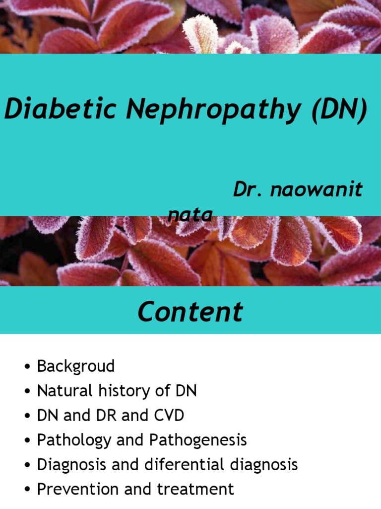 Diabetic Nephropathy Overview and Pathology | PDF | Chronic Kidney ...