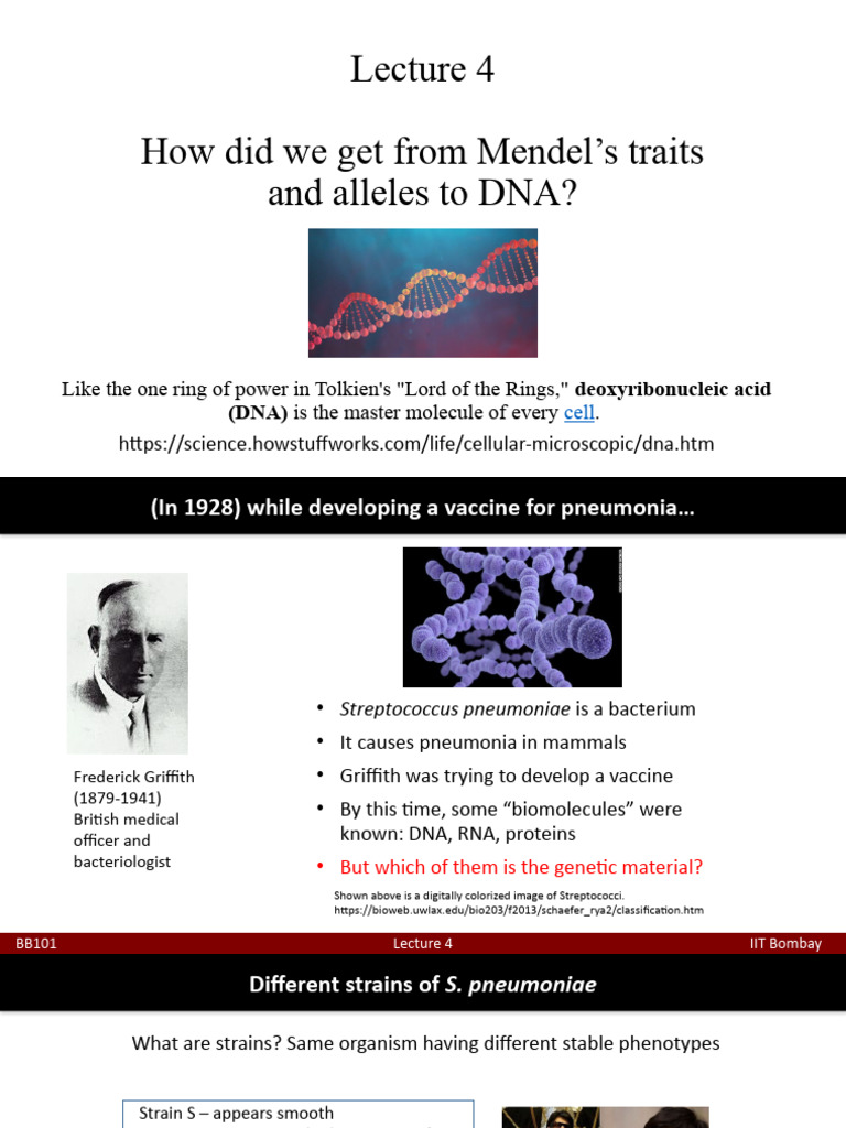 Class-4 - DNA As Genetic Material - Final | PDF | Chromosome | Dna