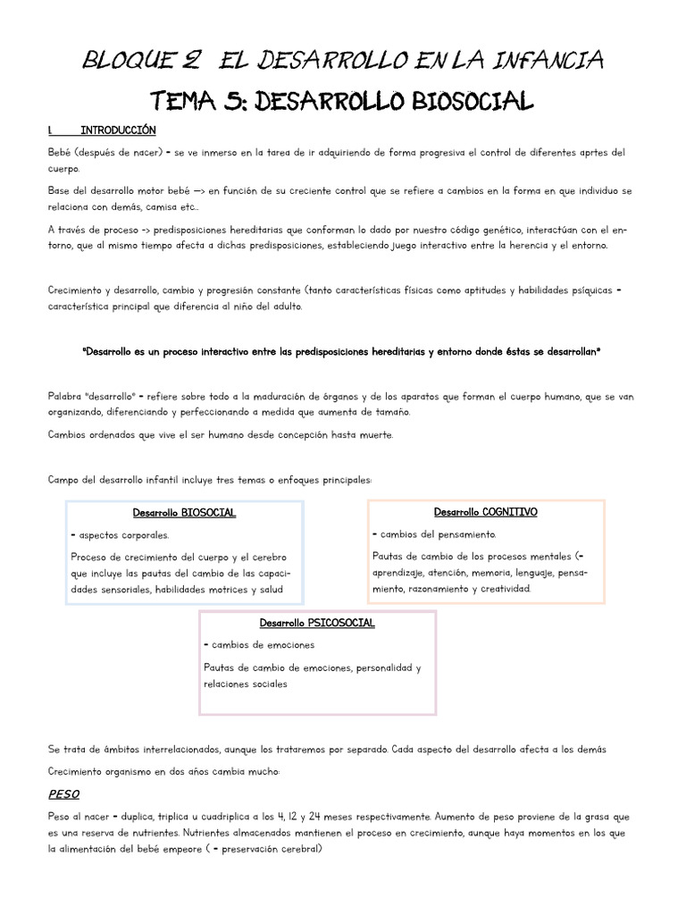 Tema 5 - Desarrollo biosocial niño | PDF | Neurona | Cerebro
