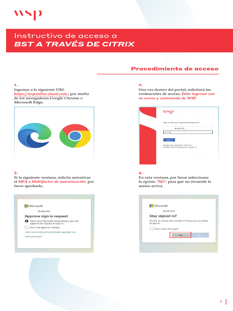 Instructivo BST | PDF