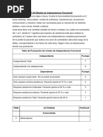 14 Escala Evaluacion Funcional AVD | PDF