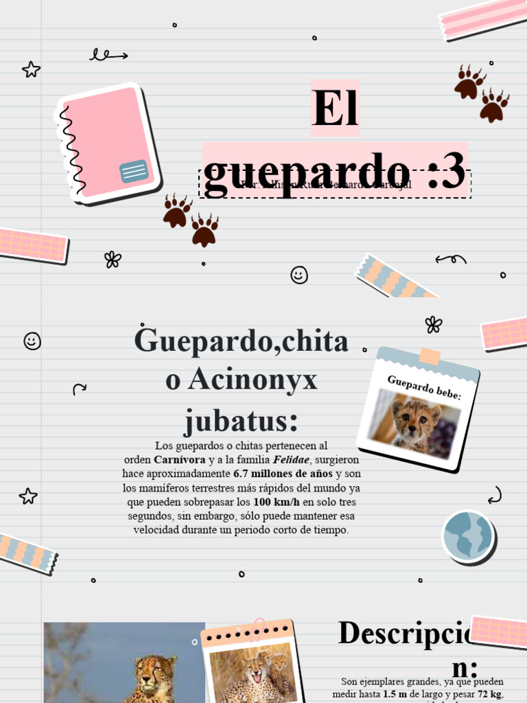 Expo Guepardo | PDF