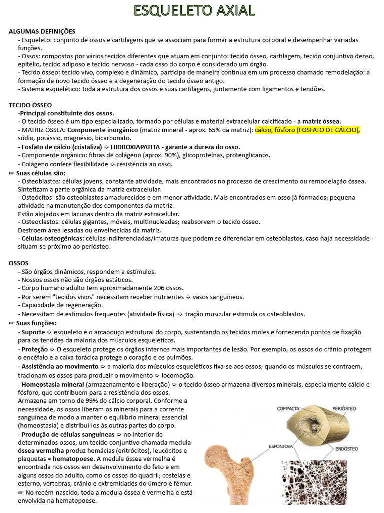 Esqueleto Axial - Anatomia 1 of | PDF | Coluna vertebral | Osso