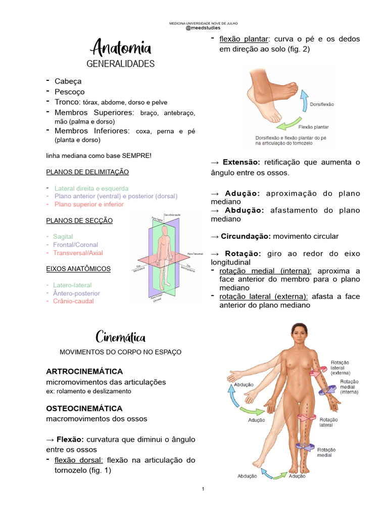 Anatomia (Geral) | PDF | Movimentos anatômicos | Anatomia